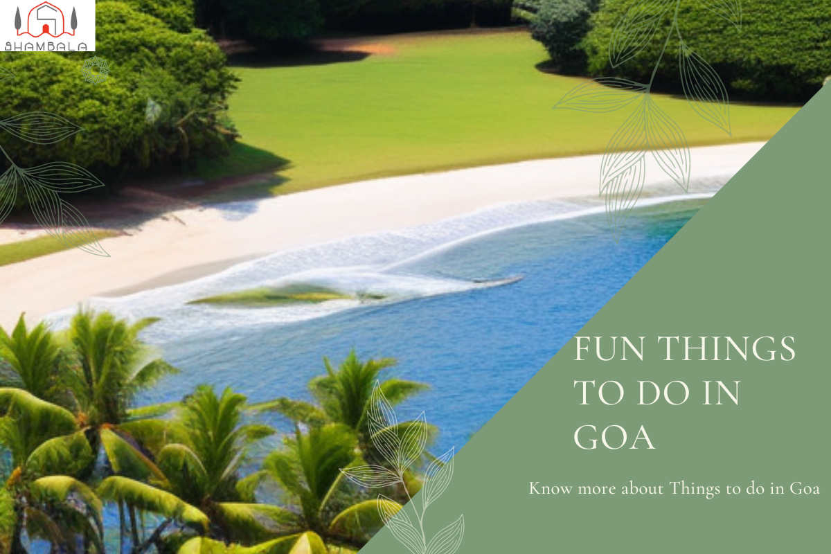 Fun Activities in Goa - Shambala Stays